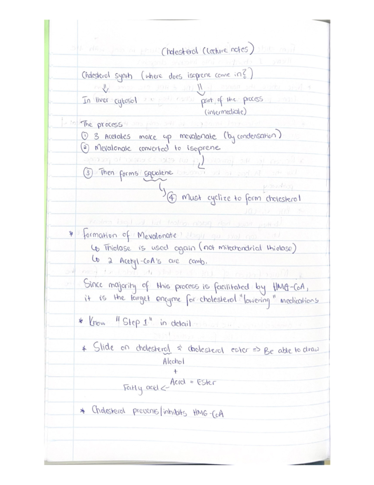 Notes from Cholesterol lecture 2024 - (holesterol (Lecture notes ...