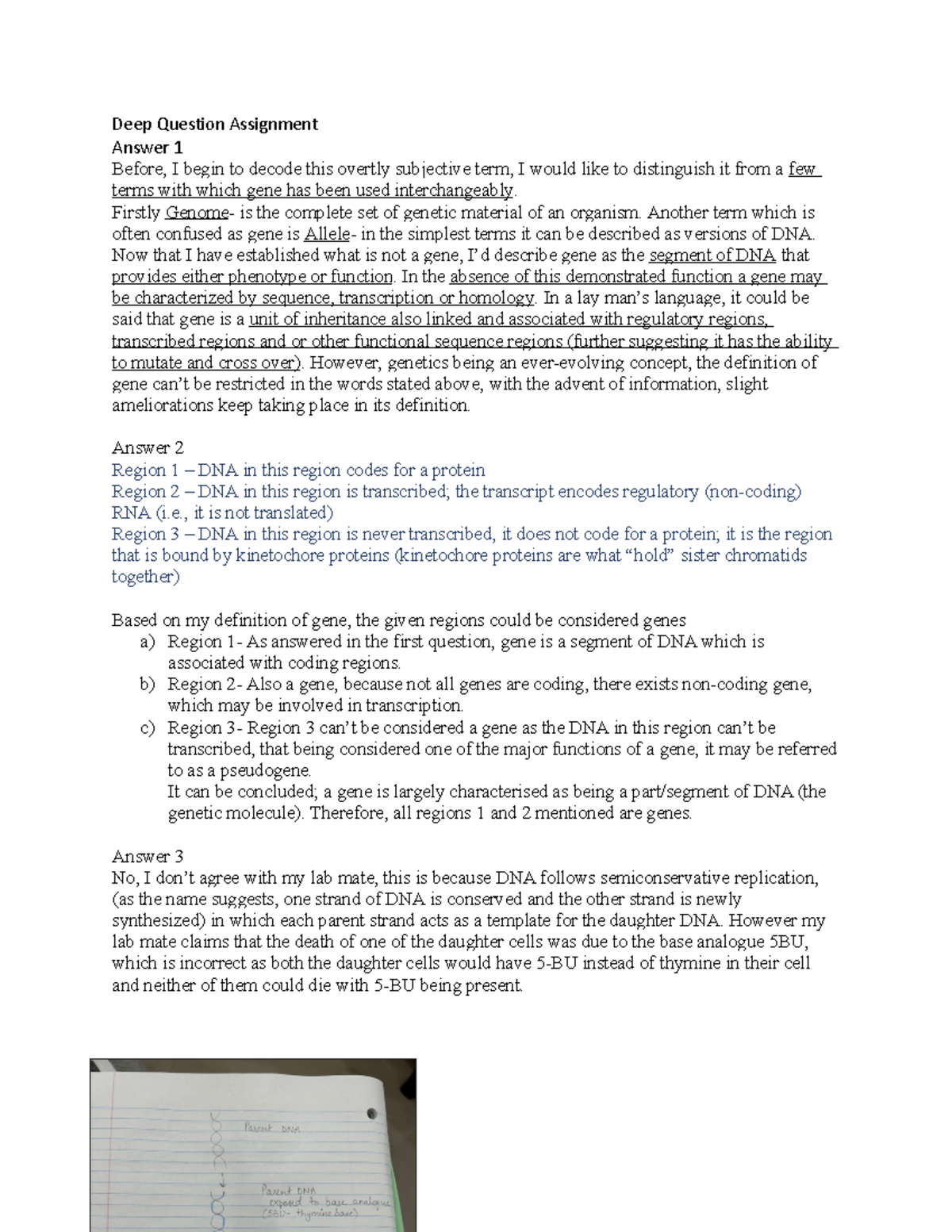 Deep Question Assignment - Deep Question Assignment Answer 1 Before, I begin to decode this ...