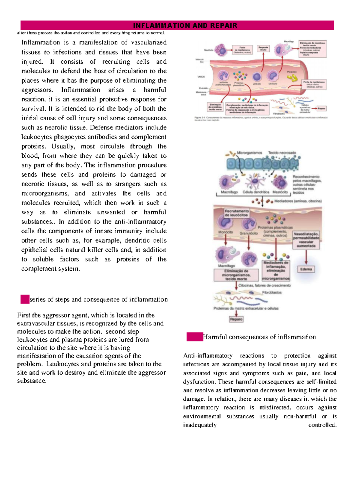 Inflammation AND Repair - INFLAMMATION AND REPAIR after these process ...