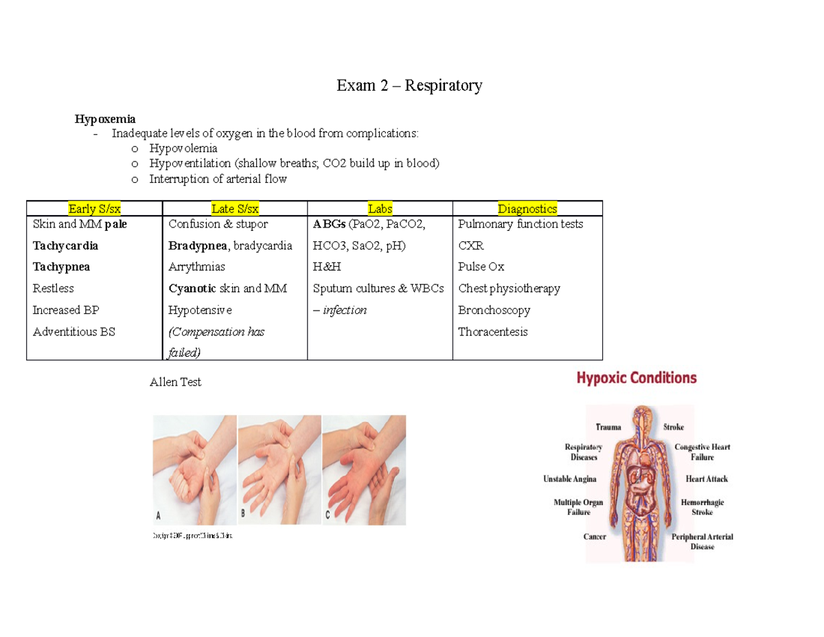 Exam 2 - Med Surg 2 respiratory study guide - Exam 2 – Respiratory ...