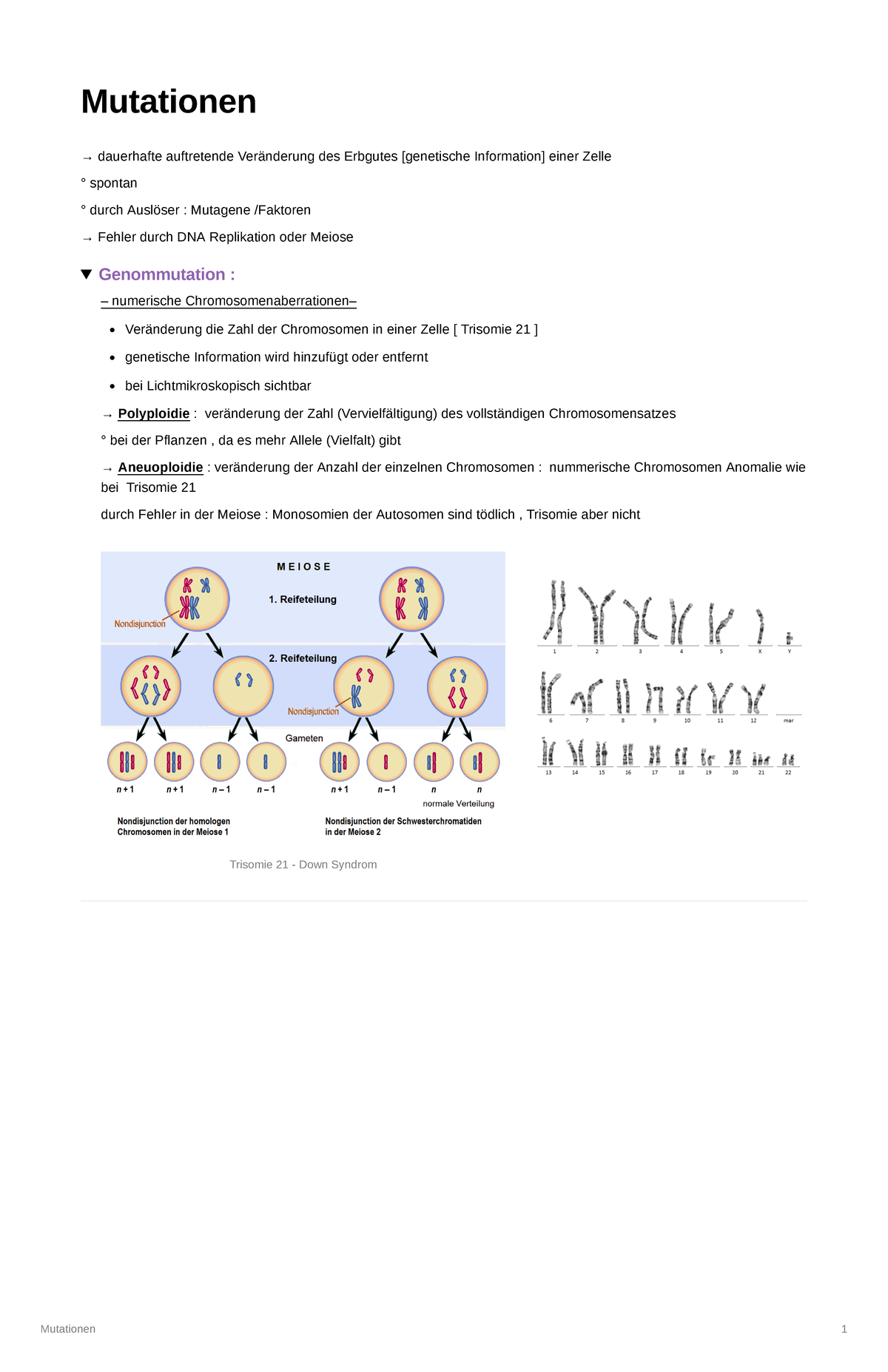 Mutationen - Mutationen → dauerhafte auftretende Veränderung des ...
