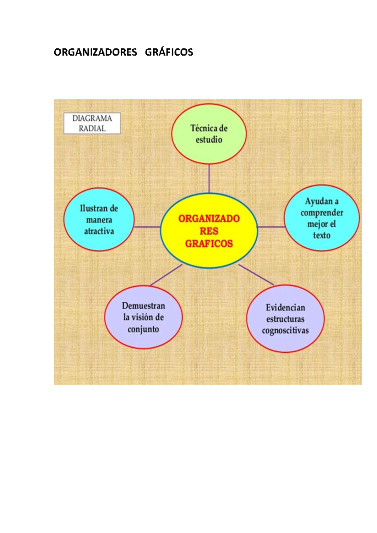 Organizadores Gráficos Teoria - ORGANIZADORES GRÁFICOS Utilizar ...