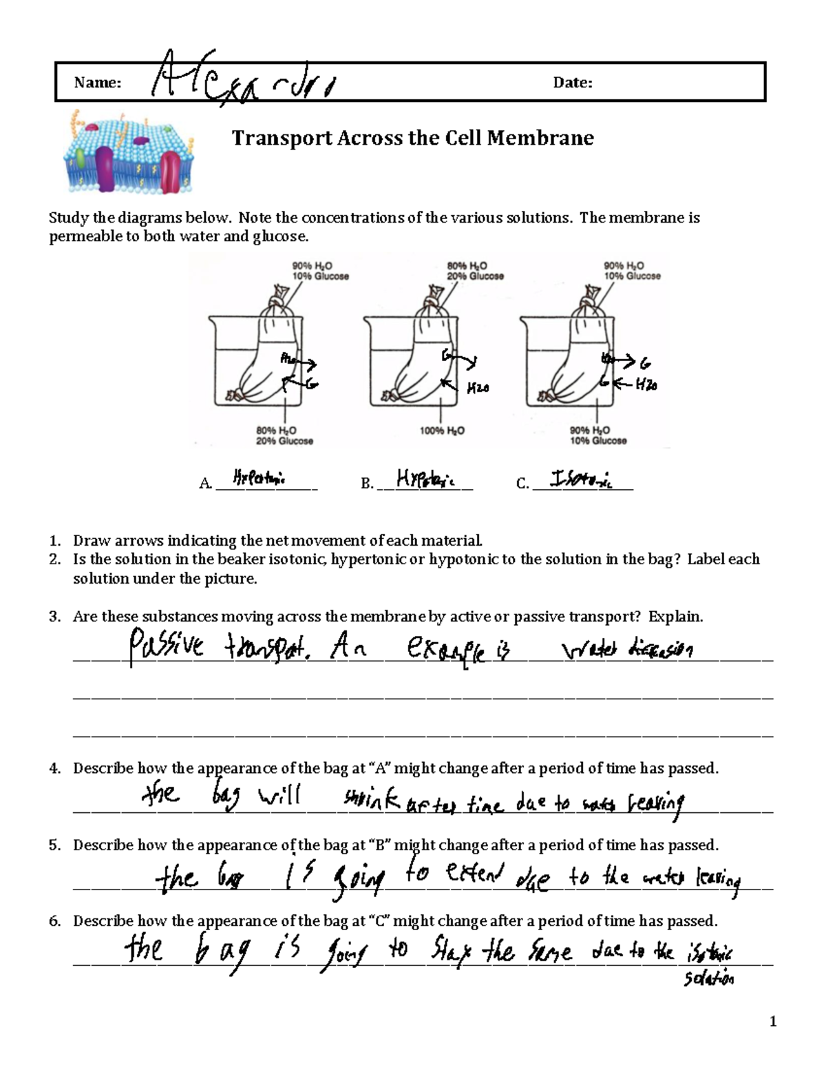 Cell Transport Practice Problems - Transport Across the Cell Membrane ...