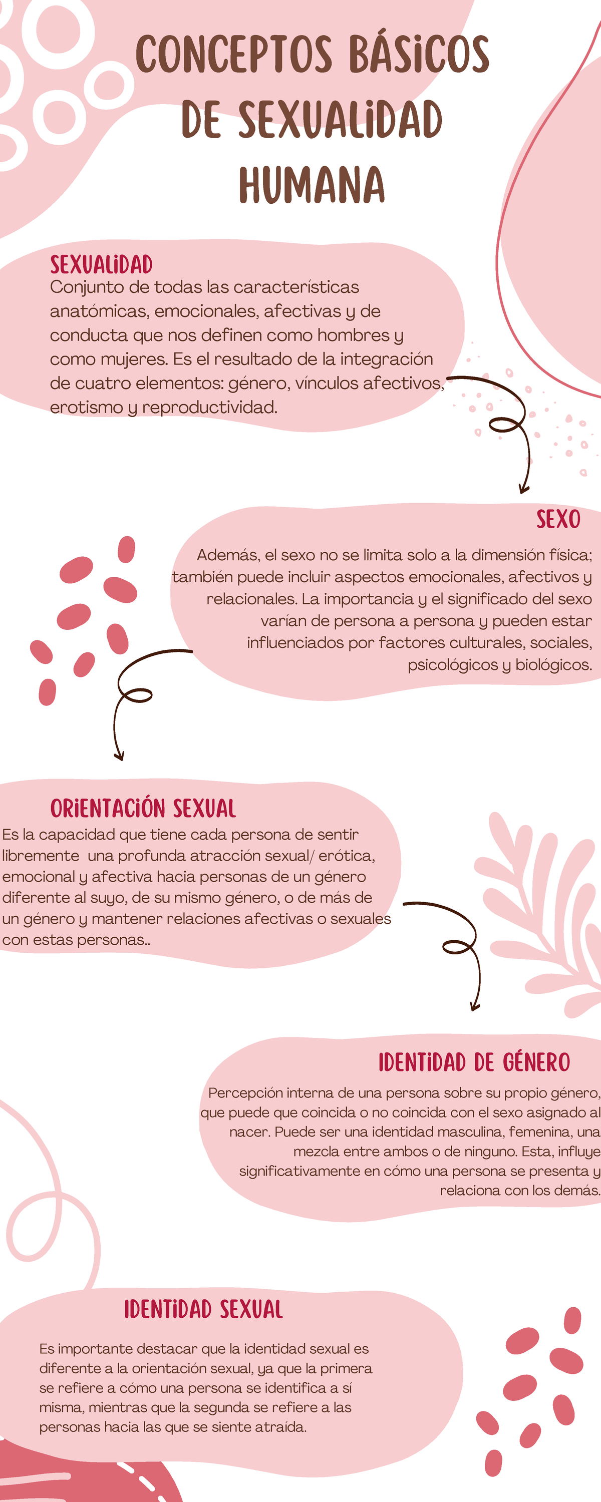 Infografía sexualidad - Conceptos básicos de sexualidad humana Conjunto de todas las - Studocu