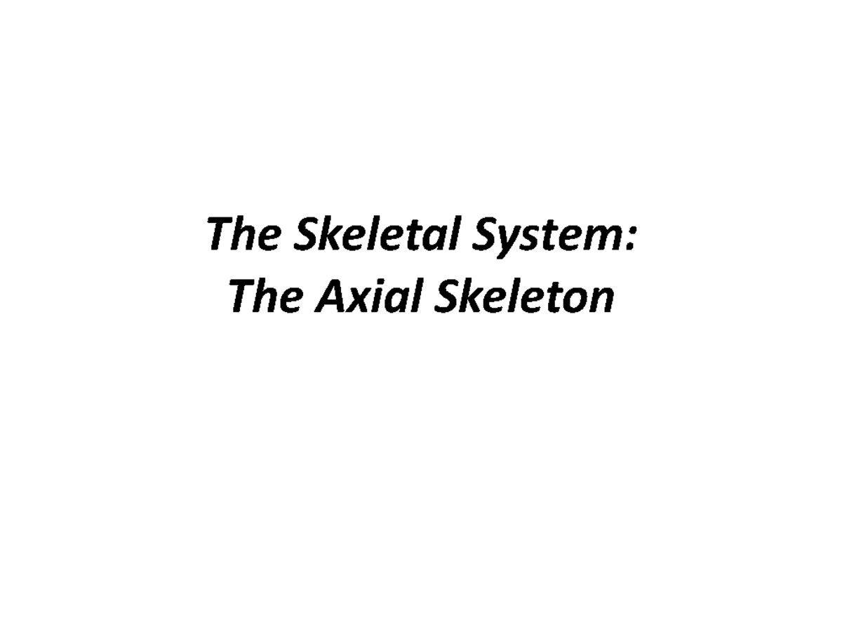 4 The Skeletal System Axial Skeleton - The Skeletal System: The Axial ...