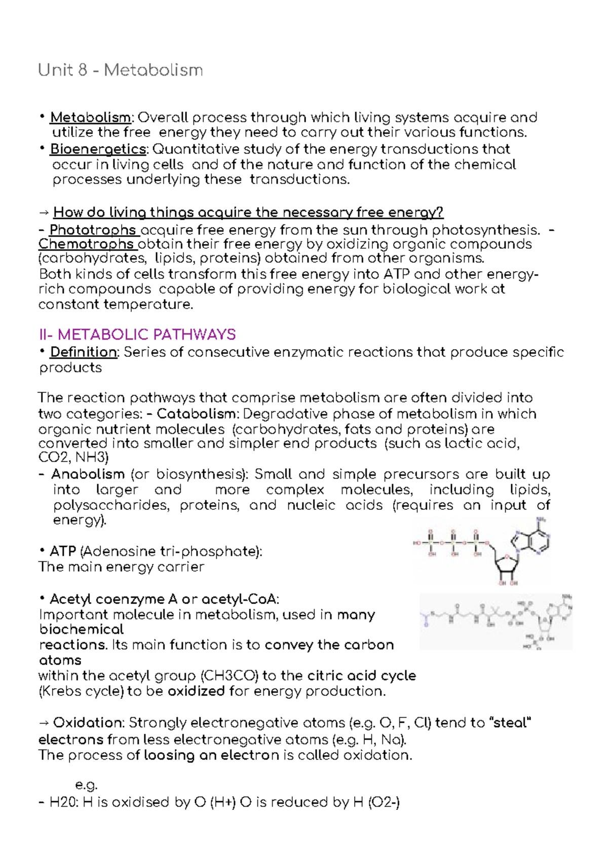 8. Metabolism Introduction - Unit 8 - Metabolism • Metabolism: Overall ...