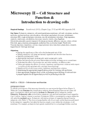 Lab 1 Answers - ... - Microscopy I – An Introduction to the use of ...