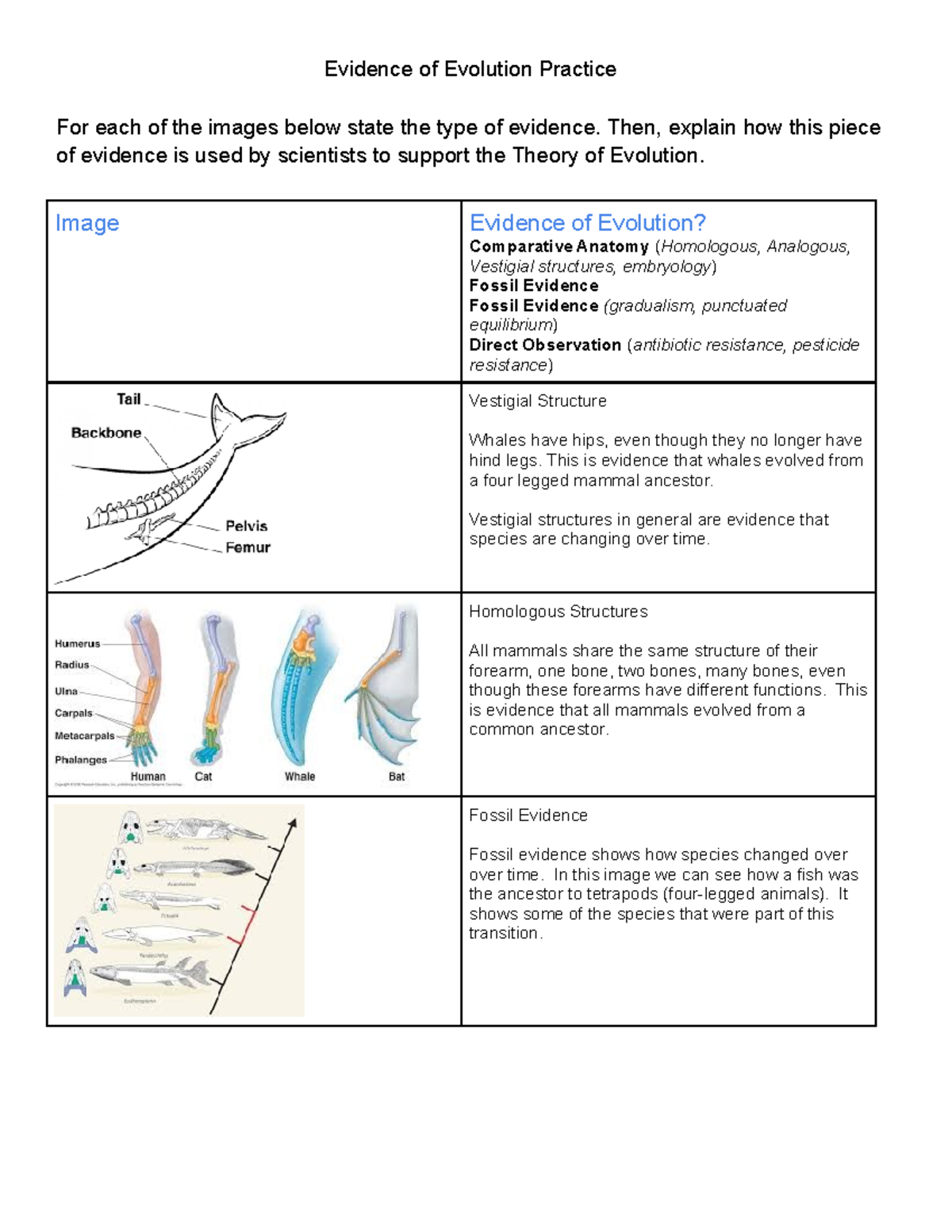 Evidence of Evolution Practice - Then, explain how this piece of ...