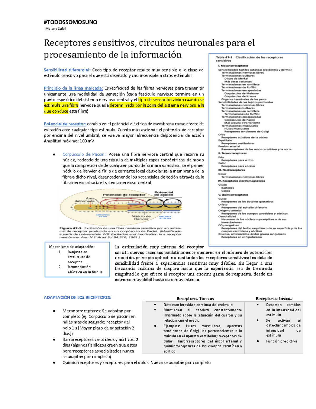 Cap 47 - Receptores sensitivos, circuitos neuronales para el ...
