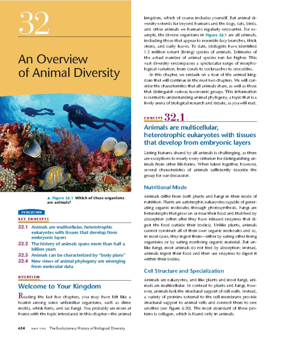 Animal Diversity Readings - K E Y C O N C E P T S 32 Animals are ...