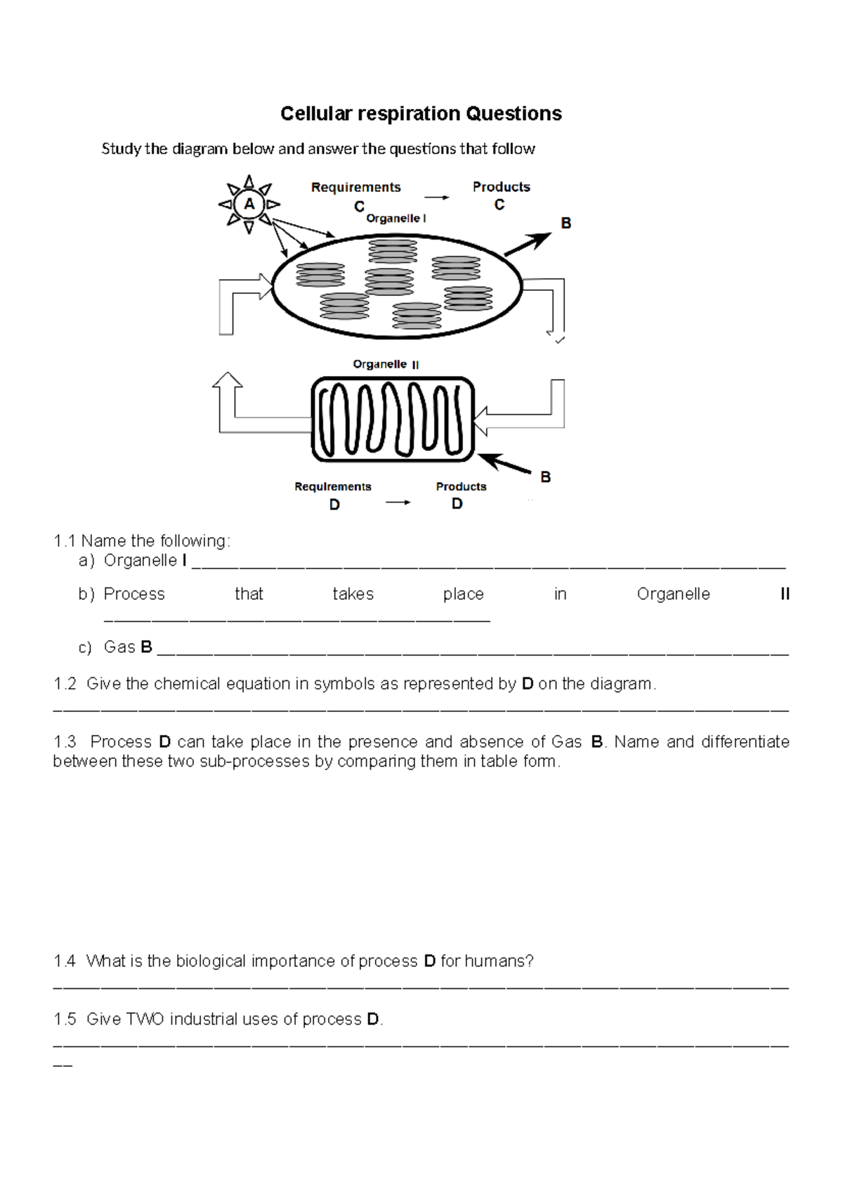 Cellular respiration Questions - 1 Process D can take place in the ...