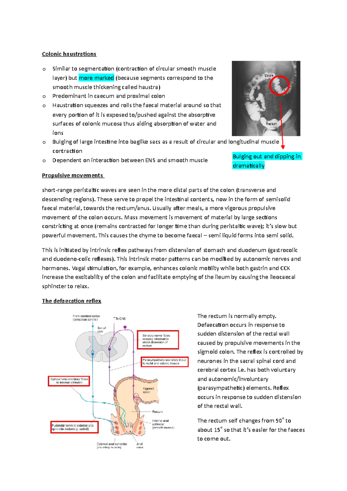 Colonic Haustrations and Defaecation Reflex - Studocu