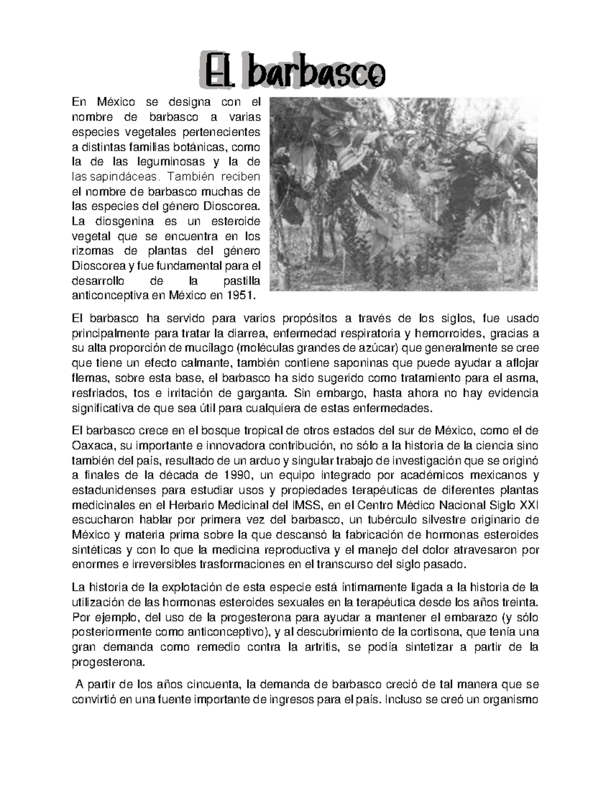 El barbasco - En México se designa con el nombre de barbasco a varias ...