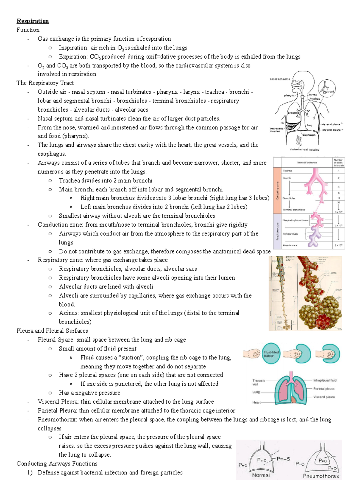 Respiration Study Notes - Respiration Function - Gas exchange is the ...