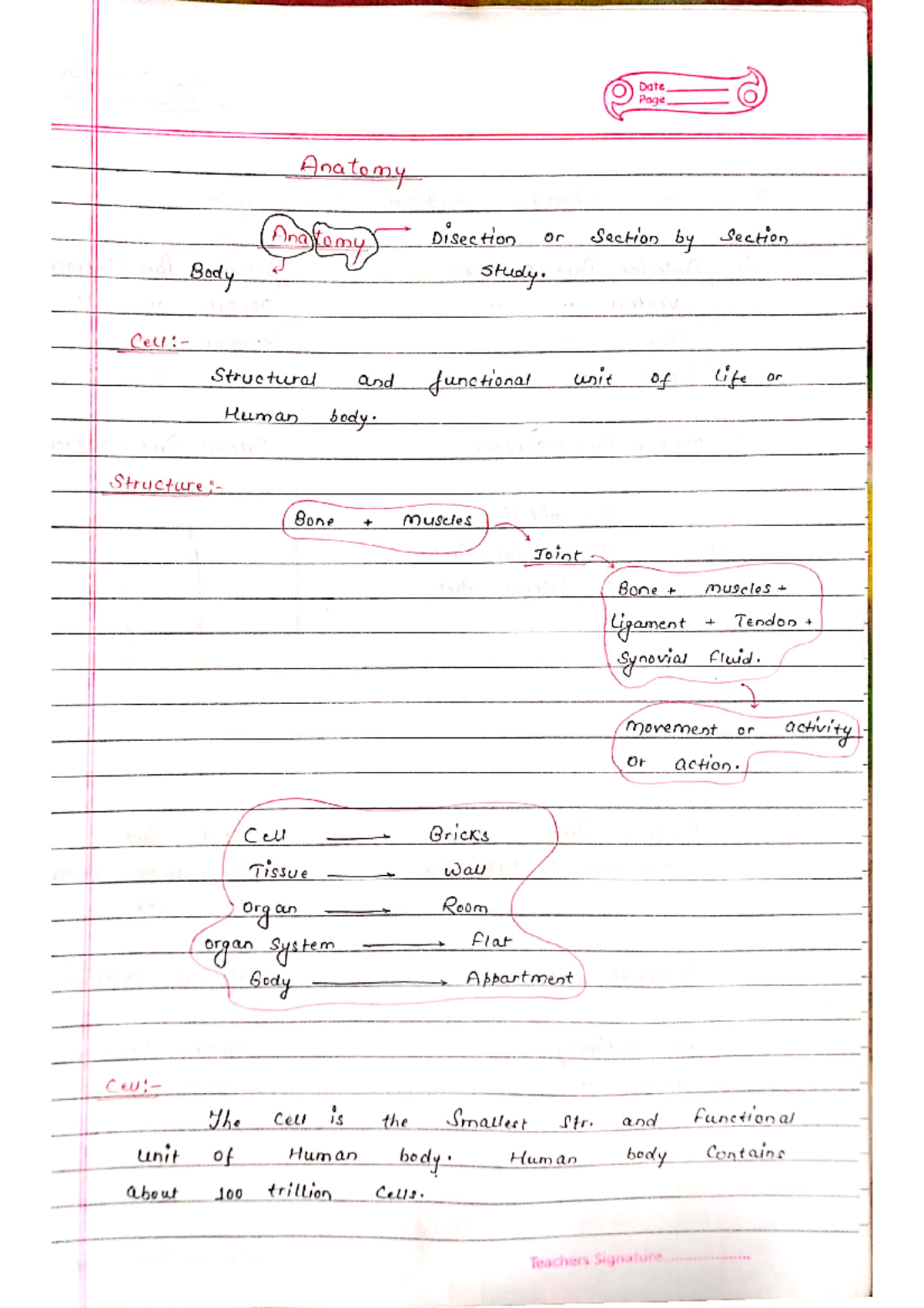 Anatomy 1St Year Bsc Nursing Niher - Bsc.Forensic Science - MKU - Studocu