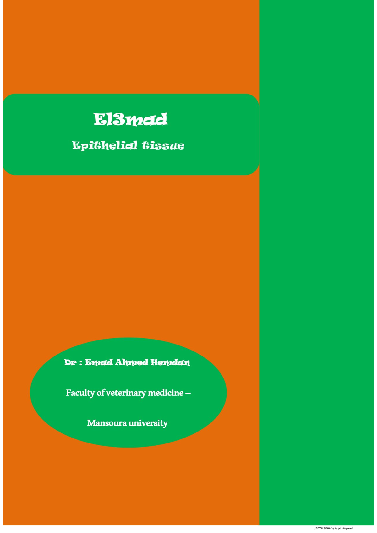 Epithilial part 2 - Histology - Studocu