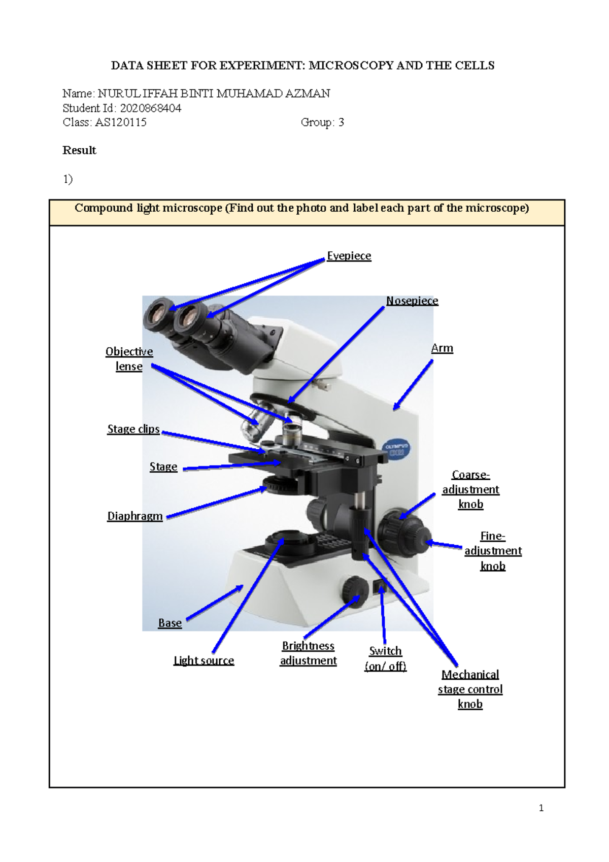 5.0 DATA Sheet FOR Experiment- Microscopy AND THE Cells - Histology of ...