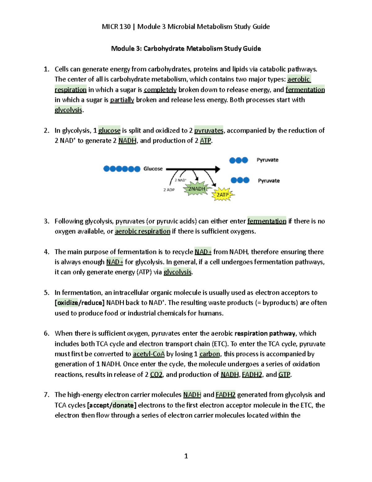 Module 3 Carbohydrate Metabolism Study Guide - MICR 130 | Module 3 ...
