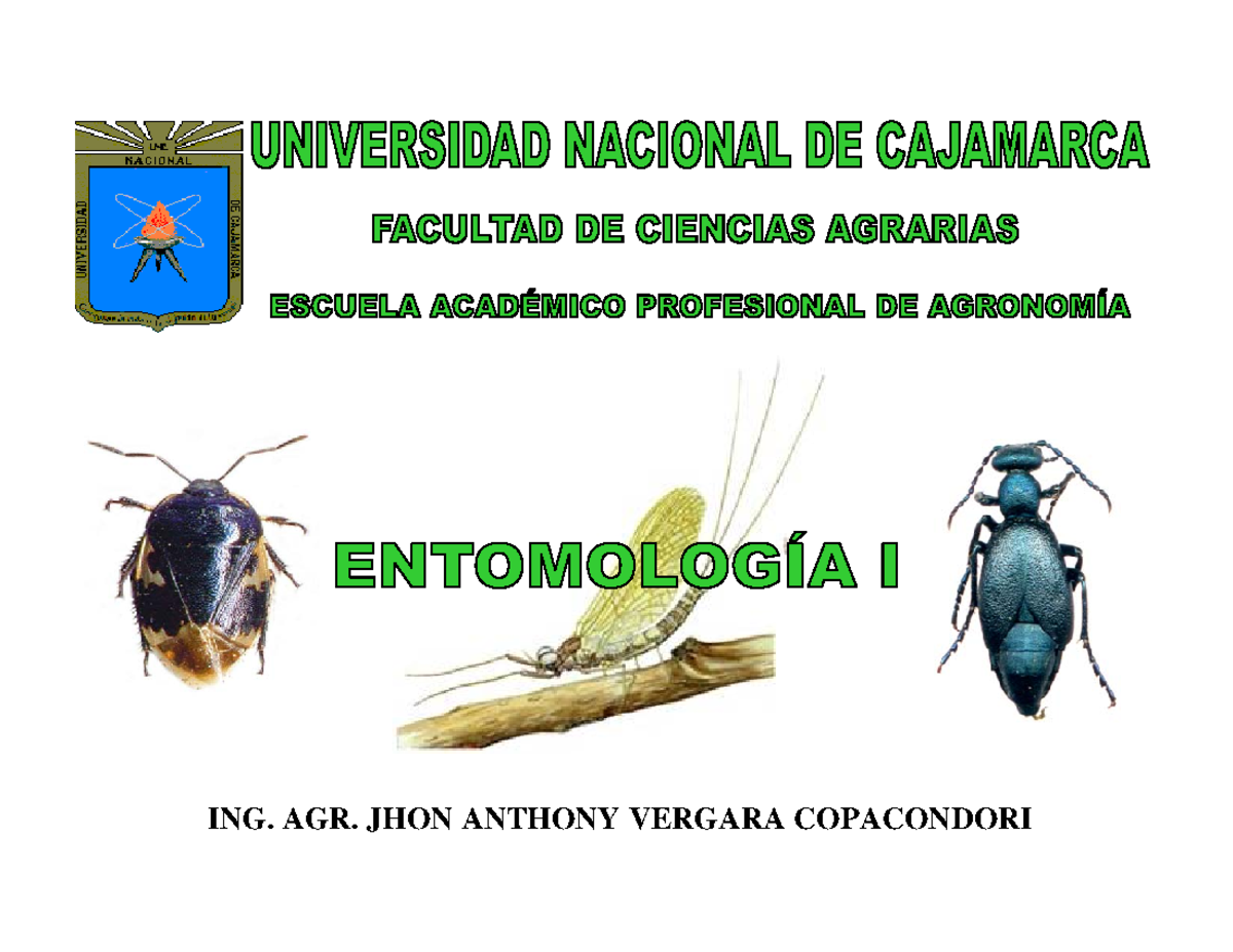 Clase N° 3 - ENTOMOLOGIA AGRICOLA - ING. AGR. JHON ANTHONY VERGARA ...