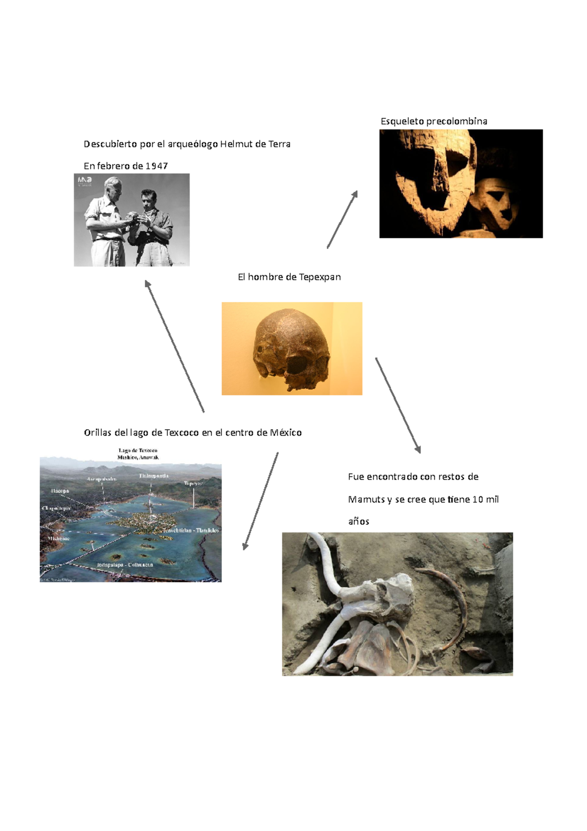 Historia 7 seeeee seeeee seeeeeeeeee seeee - Esqueleto precolombina ...