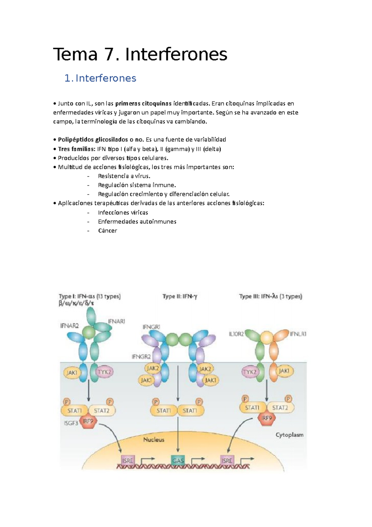Interferones productos - Tema 7. Interferones 1. Interferones • Junto ...