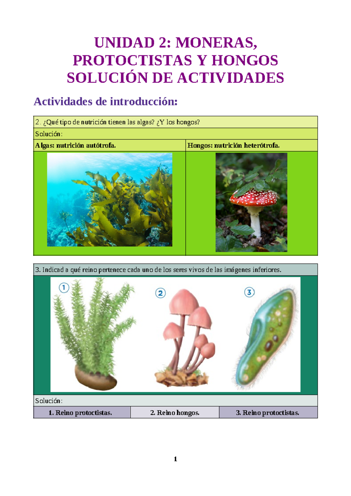 Ud2 Soluciones Actividades 1 ESO - UNIDAD 2: MONERAS, PROTOCTISTAS Y ...