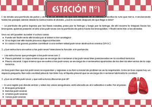 Primer Examen DE Estructura Y Funcion Humana 2 - PRIMER EXAMEN DE ...