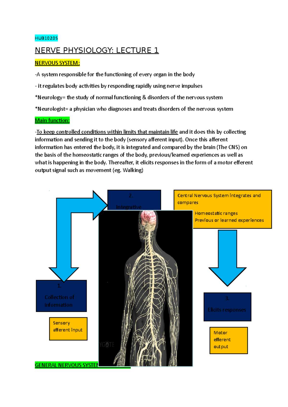 Nerve Physiology PART 1 - HUB1020S NERVE PHYSIOLOGY: LECTURE 1 NERVOUS ...