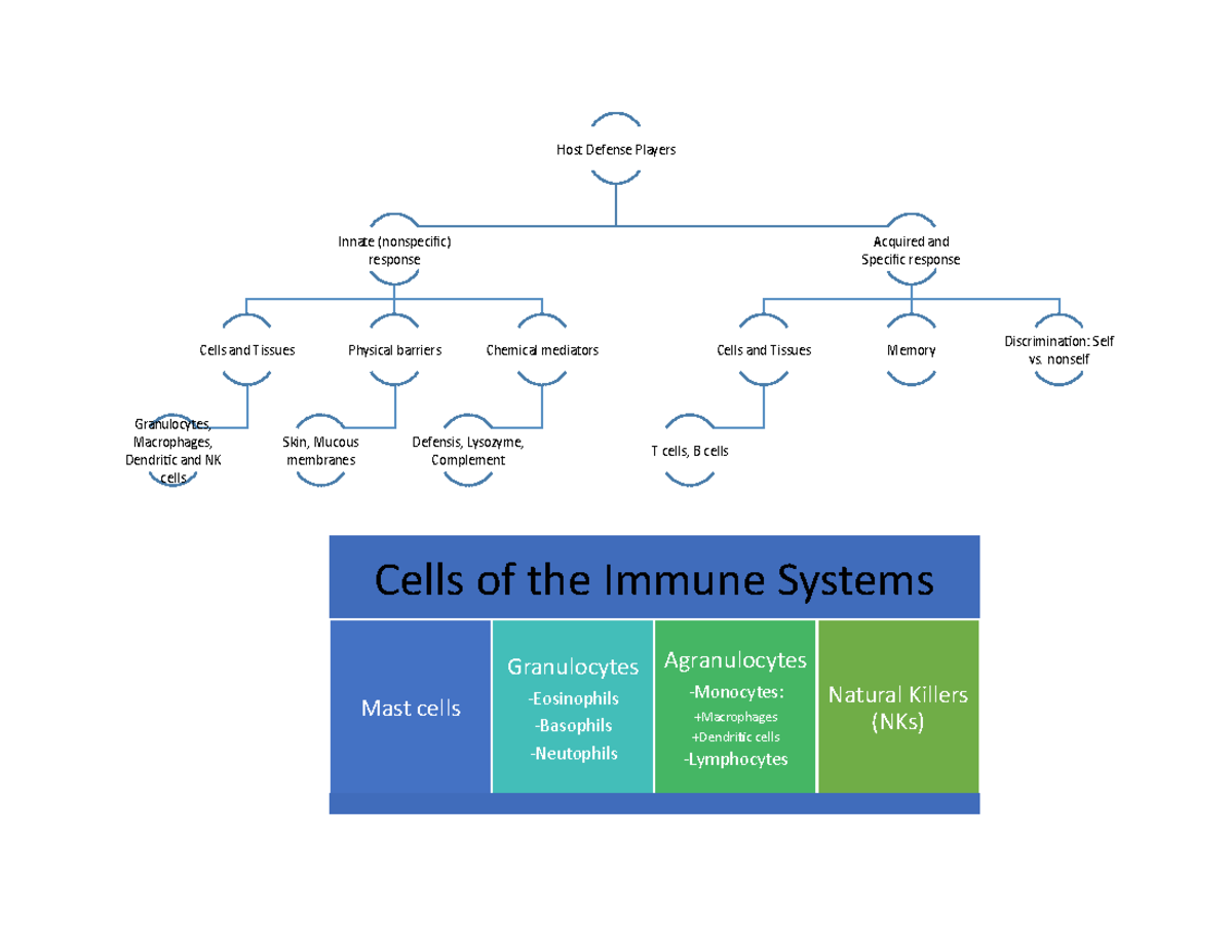 Host Response chart- Exam preparation - Host Defense Players Innate ...