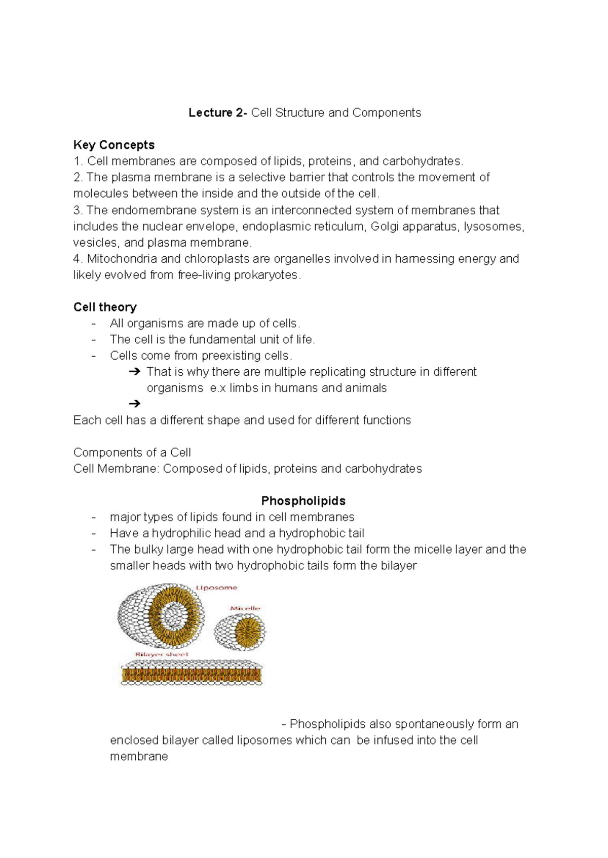 Module 2- Wang bioa01 - Lecture 2- Cell Structure and Components Key Concepts Cell membranes are ...