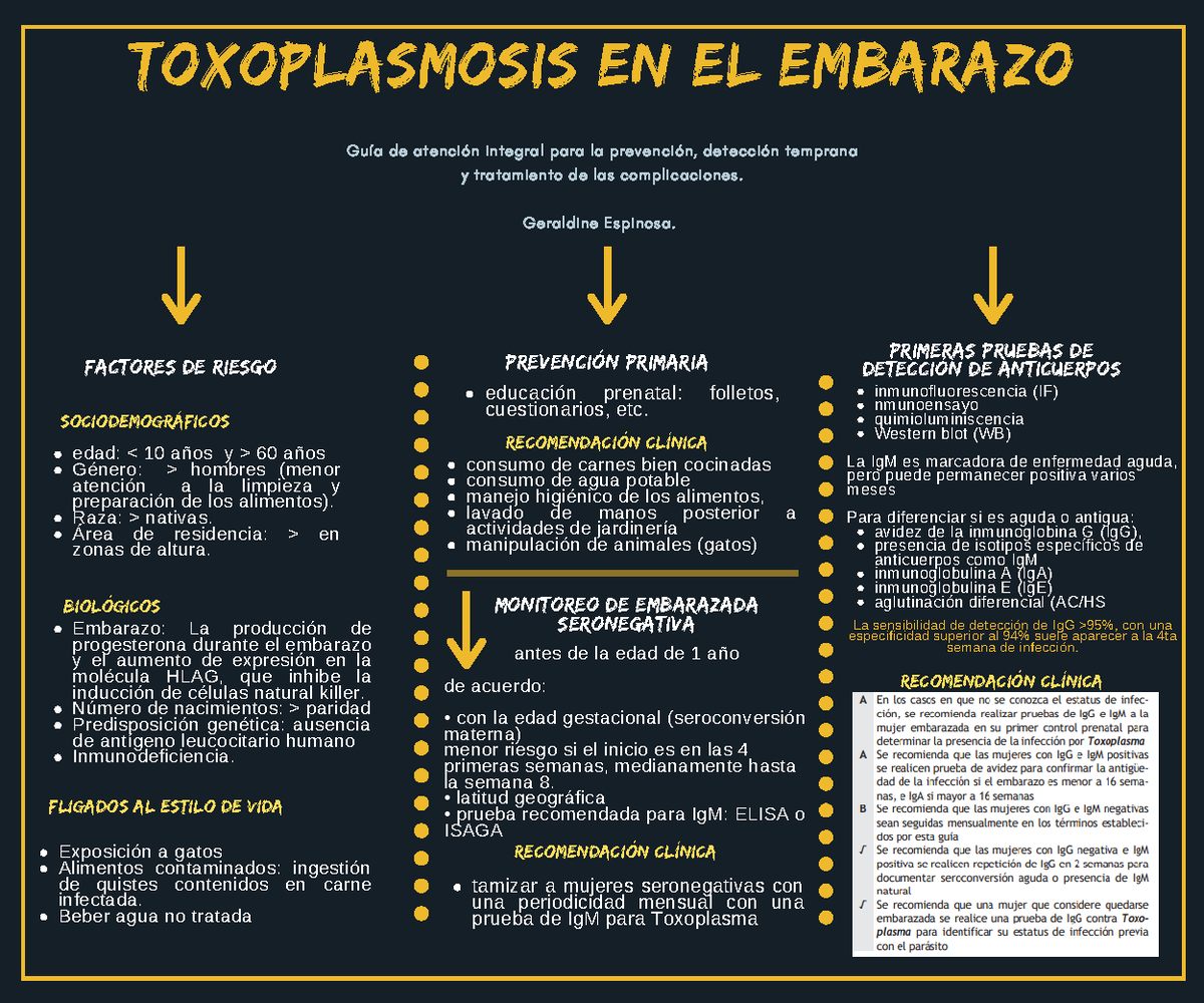 Toxoplasmosis - Toxoplasma en el embarazo - TOXOPLASMOSIS EN EL EMBARAZO Guía de atención ...