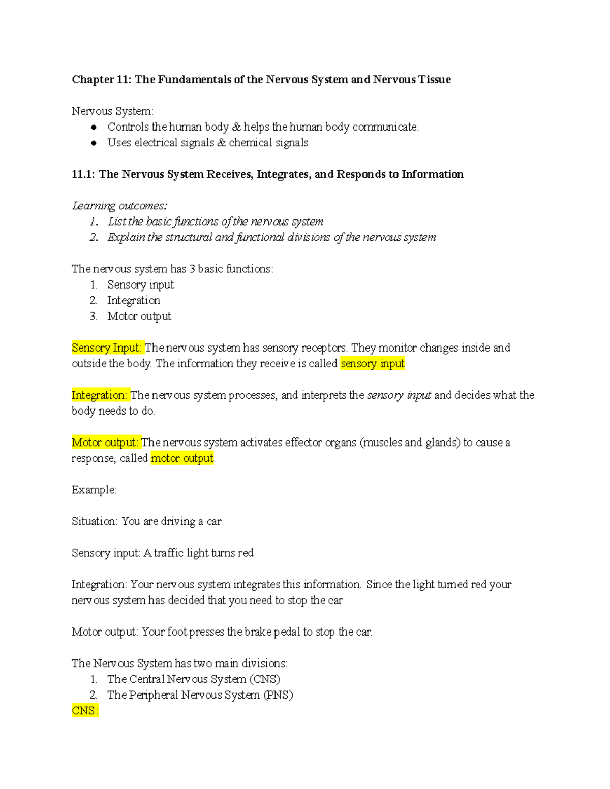 Anatomy and Physiology Chapter 11 - Chapter 11: The Fundamentals of the ...