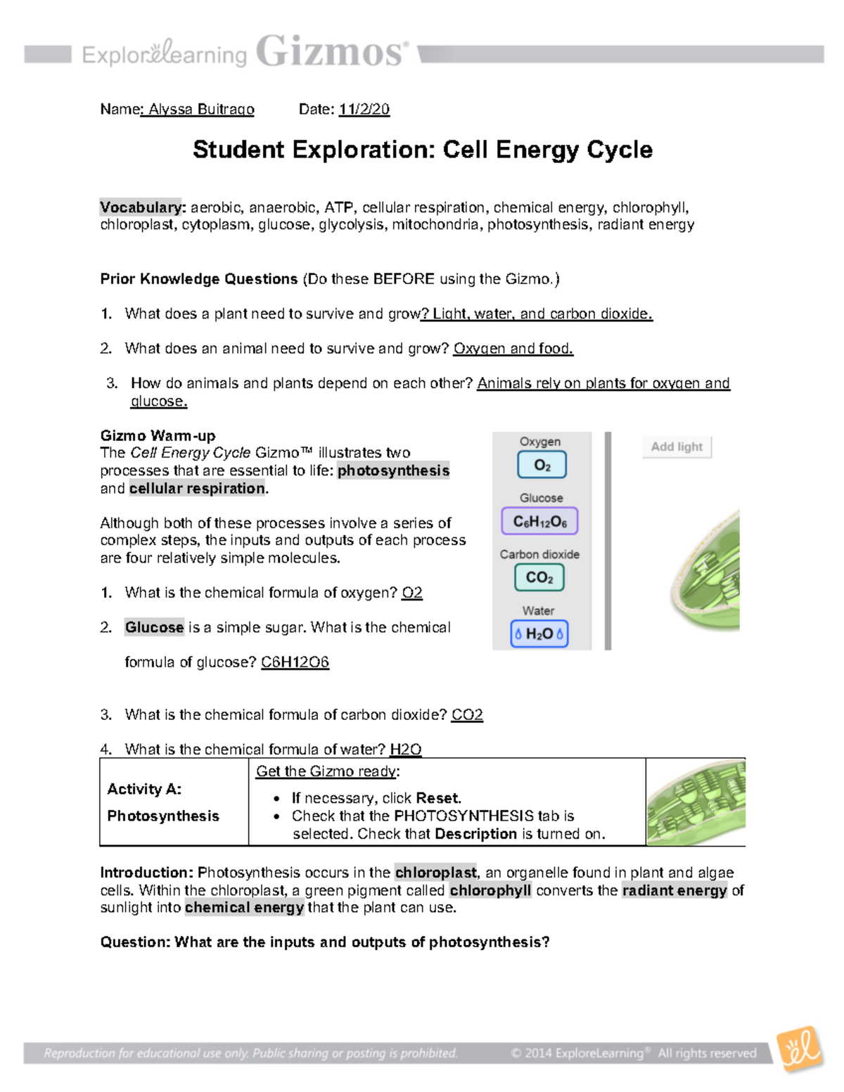 Cell Energy Gizmo BSC 2011 FIU Studocu