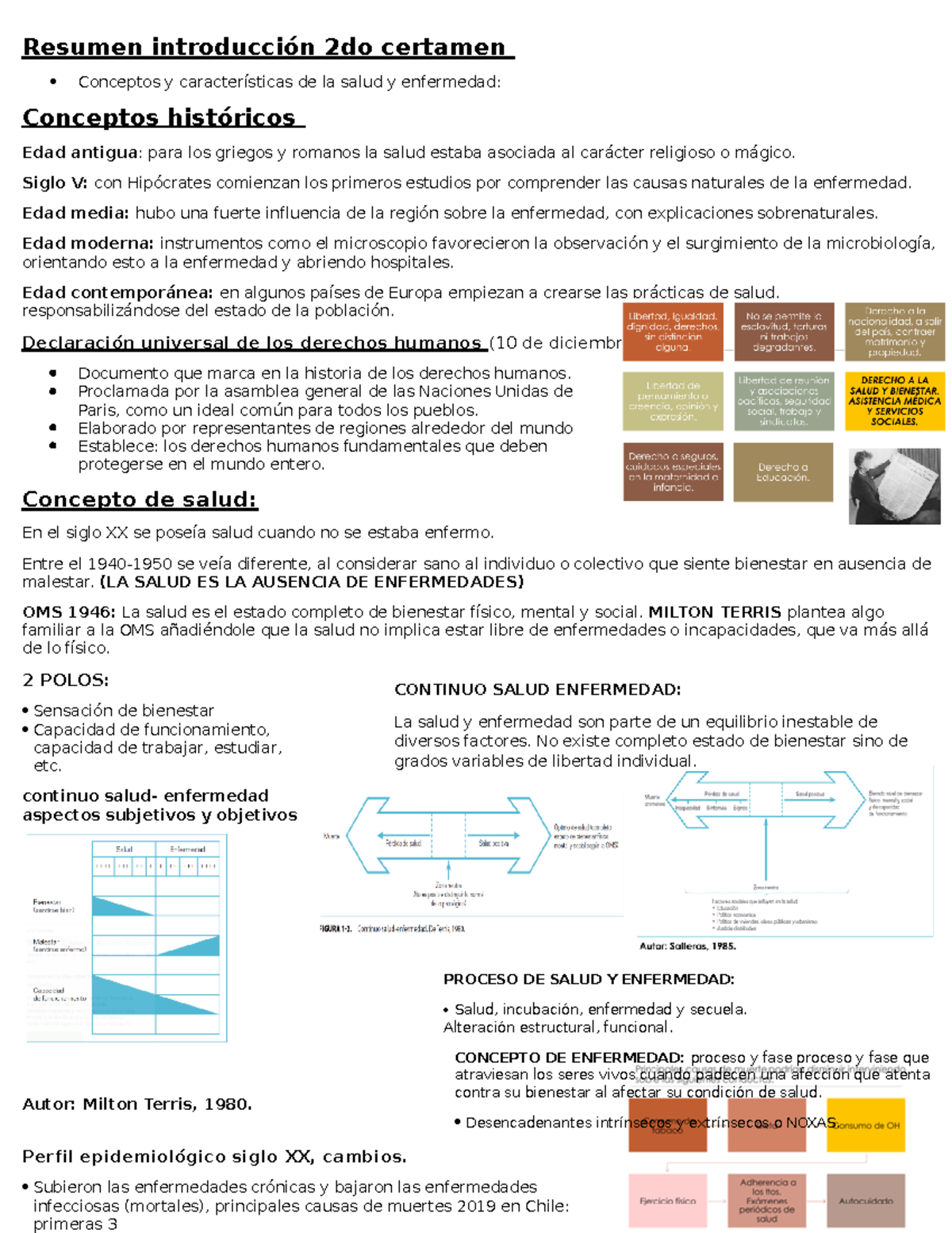 Resumen Intro. a la enf ermeria y salud publica 2º Certamen - Resumen ...