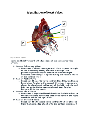 [Solved] Within the textbox below define and identify the combining forms - anatomy and ...