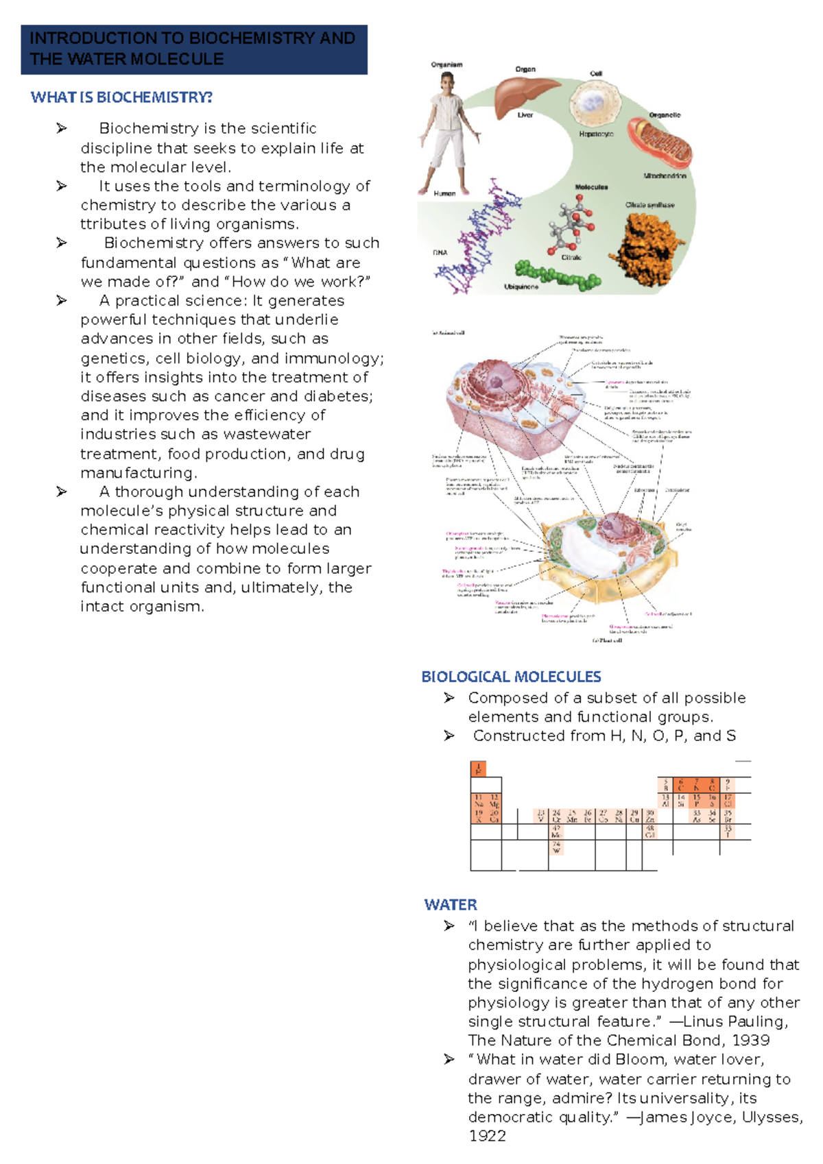 Trans- Intro- Biochem - notes - WHAT IS BIOCHEMISTRY? Biochemistry is ...