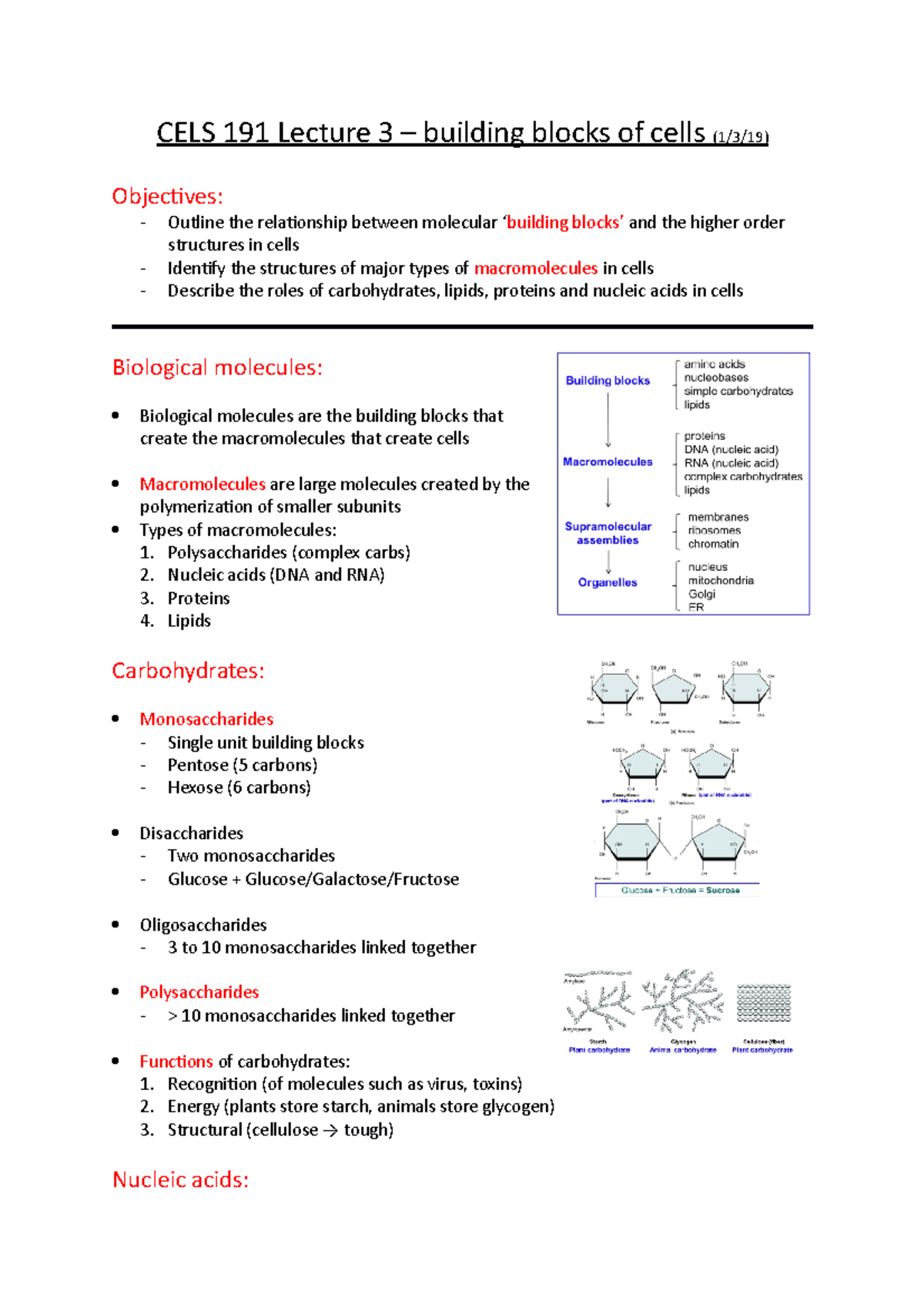 CELS 191 Lecture 3 - CELS191, scored . 97% average - CELS 191 Lecture 3 – building blocks of ...