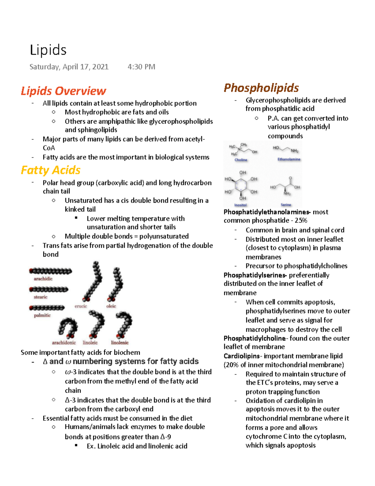 Biochem Lipids - Lecture notes Week 3 Lecture 3 - 153A - UCLA - Studocu