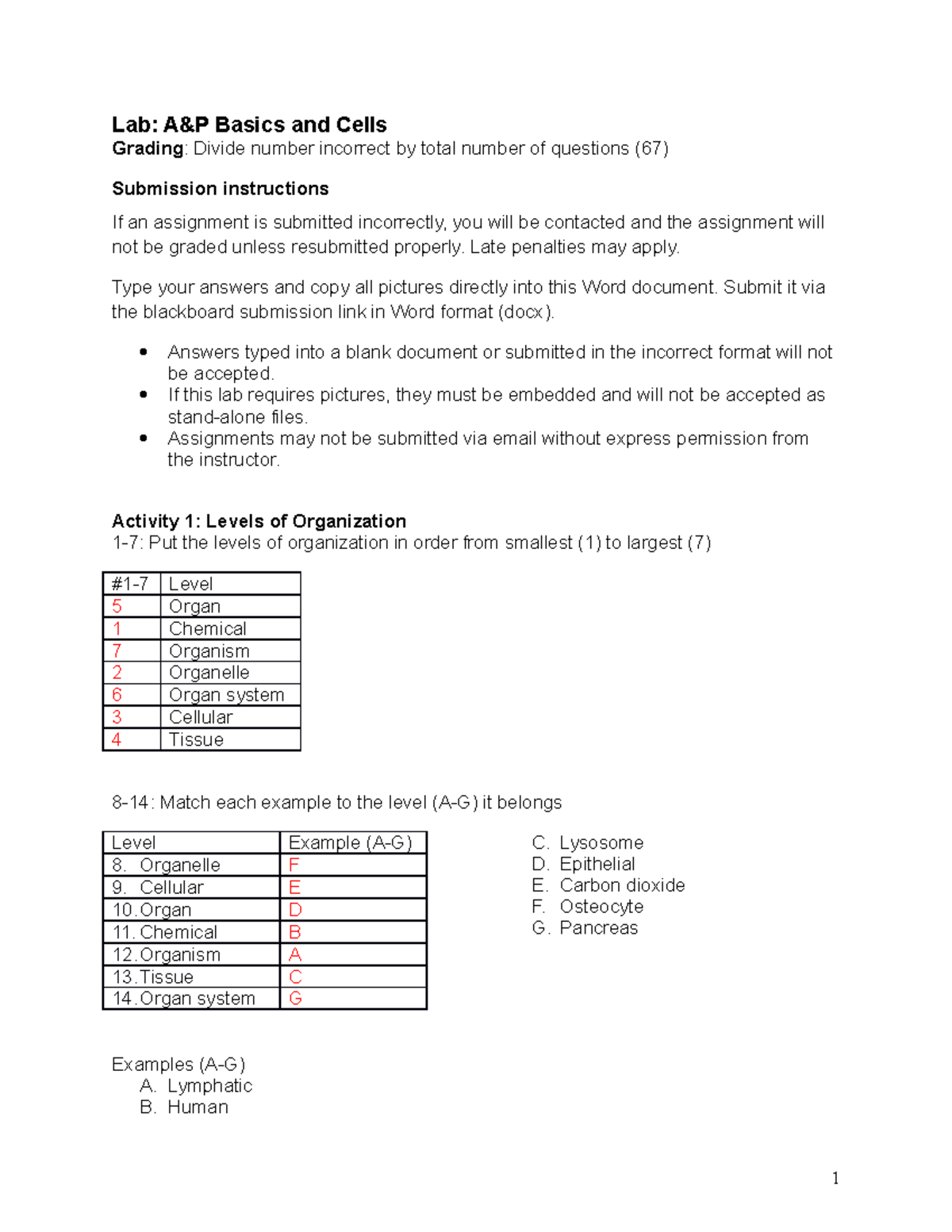 Lab Basics Cell - lab basic - Lab: A&P Basics and Cells Grading: Divide number incorrect by ...