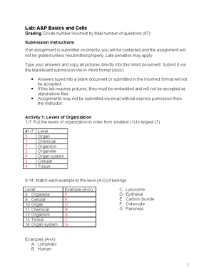 Module 2Lab Study Objectives - Lab Study Objectives for BIO 168 Module 2 Microscope 1 ...