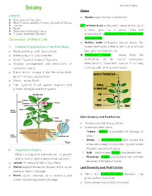 Roots - Functions Anchor the plant to its substrate Conduct the above ...