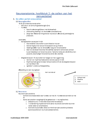 Neuro anatomie samenvatting - Indeling van het zenuwstelsel Indeling ...