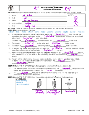 Directional Terminology, Body Cavities, Regional Terms (pg 5-8 ...