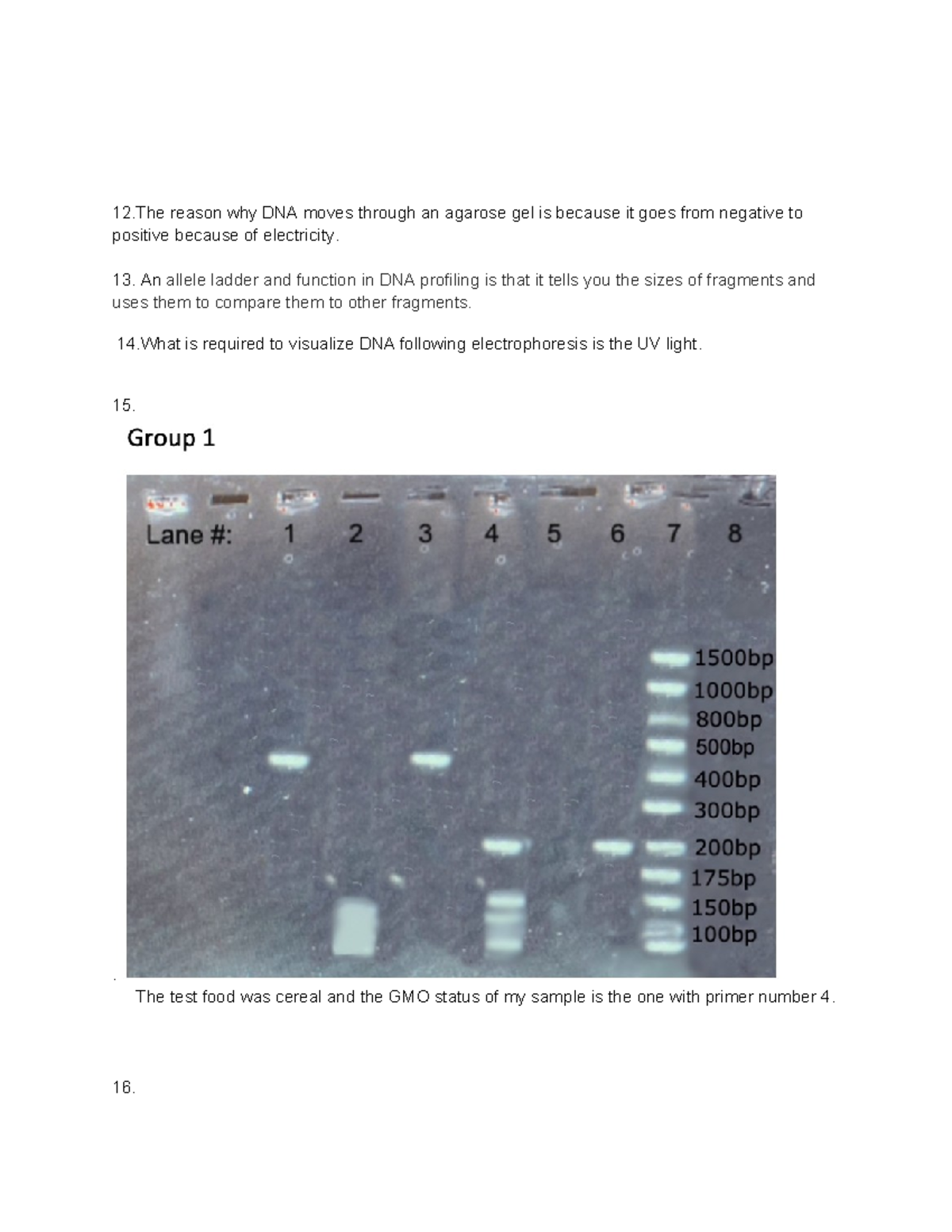 Lab 9 part 2 - lab homework - 12 reason why DNA moves through an agarose gel is because it goes ...