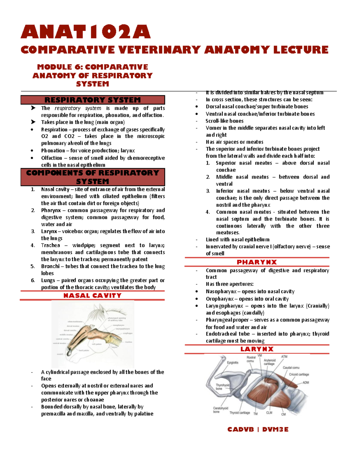 Module 6 ANAT102A - nanananananananananananananananana - ANAT10 2 A ...