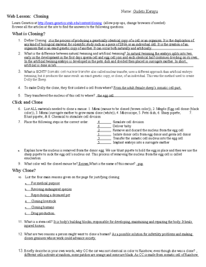 Module 4 Assignment - Module 4 Assignment Based on my scores from the ...