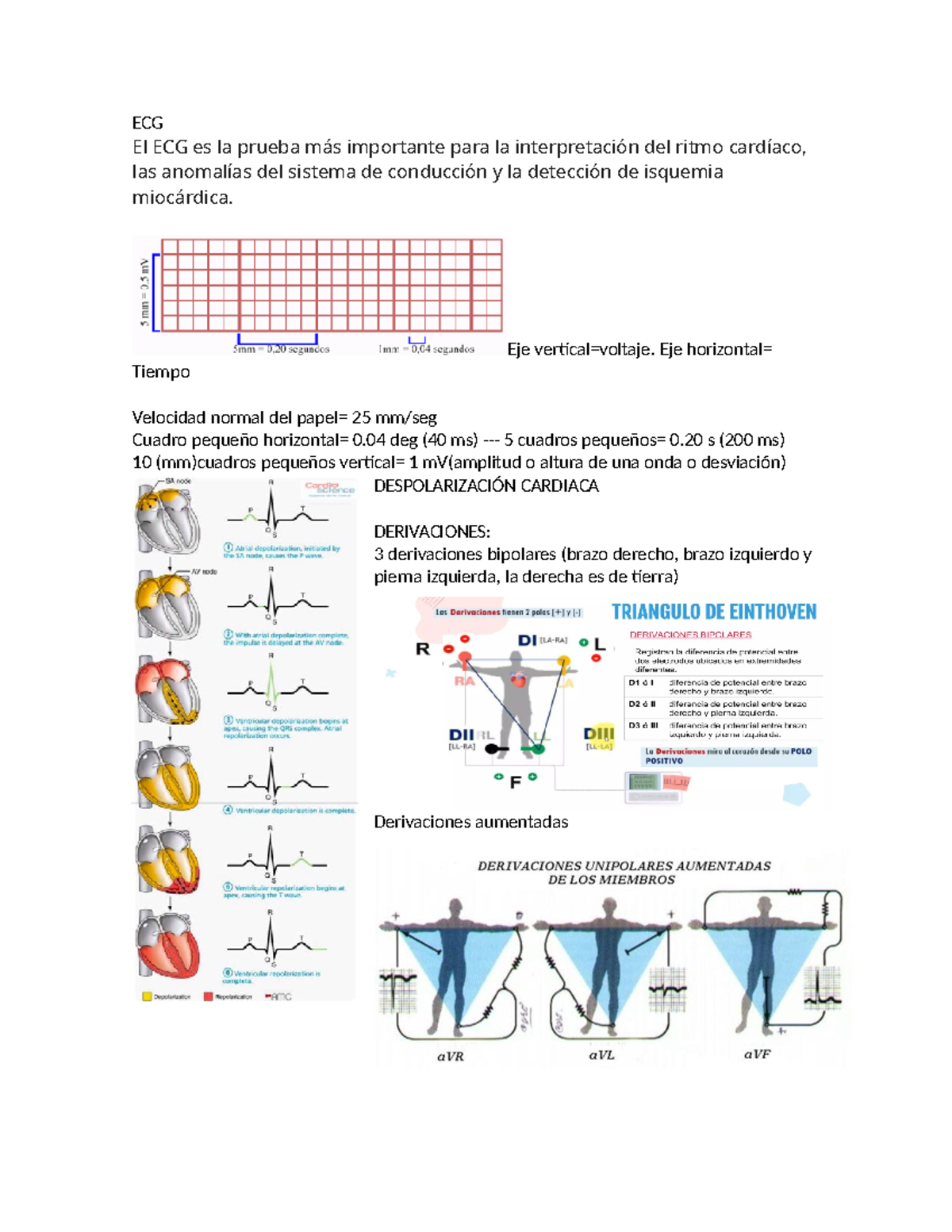 EKG- repaso - Apuntes del tema de electrocardiograma, en el cual se ...