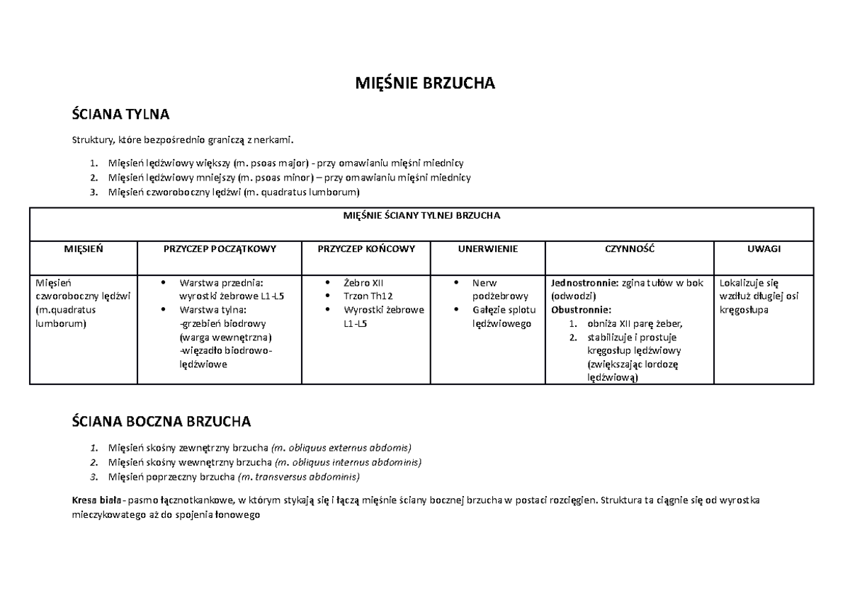 miesnie brzucha anatomia - MIĘŚNIE BRZUCHA ŚCIANA TYLNA Struktury ...