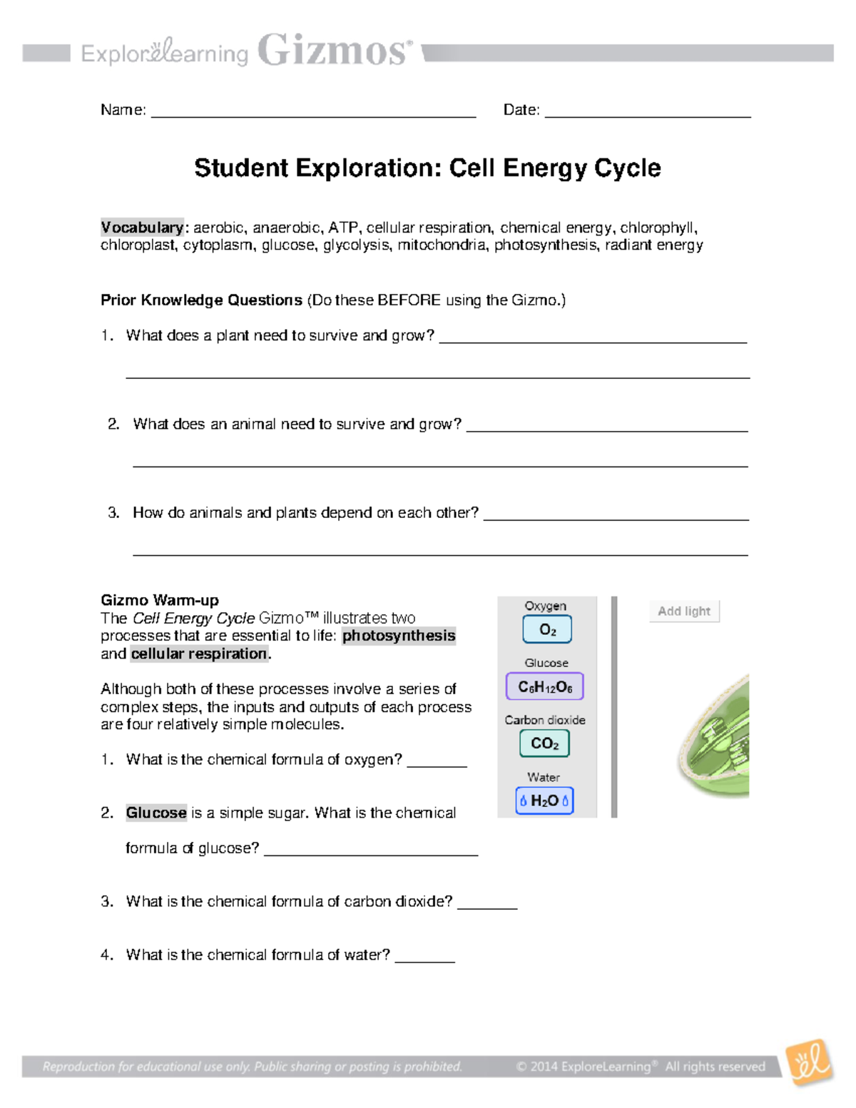Cell Energy SE worksheet fr - Name ...