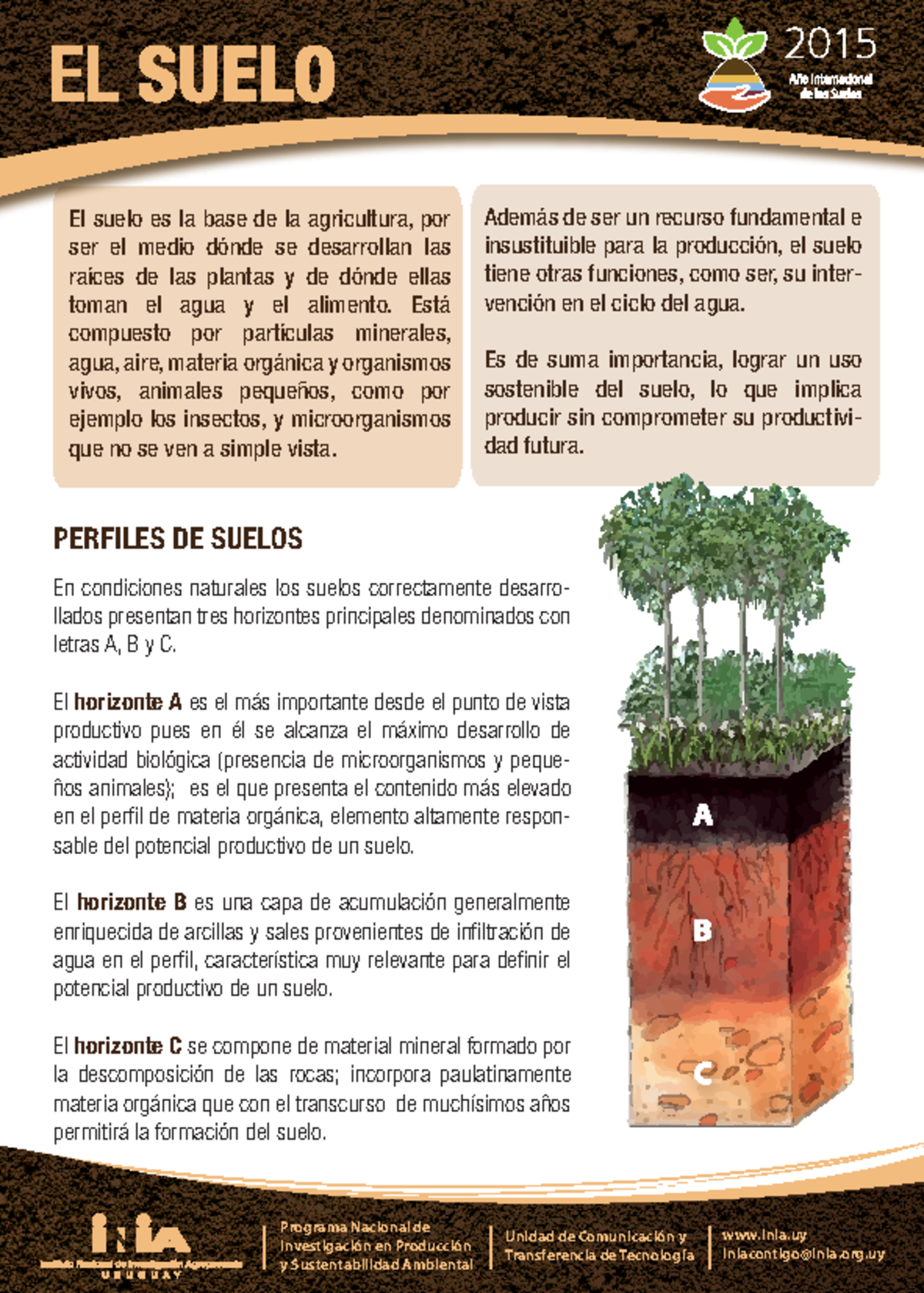 Los suelos - decripcion de las capas del suelo y capacidad de minerales ...